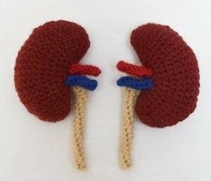 the-kidneys | Crochet Patterns, Tips, and Designers